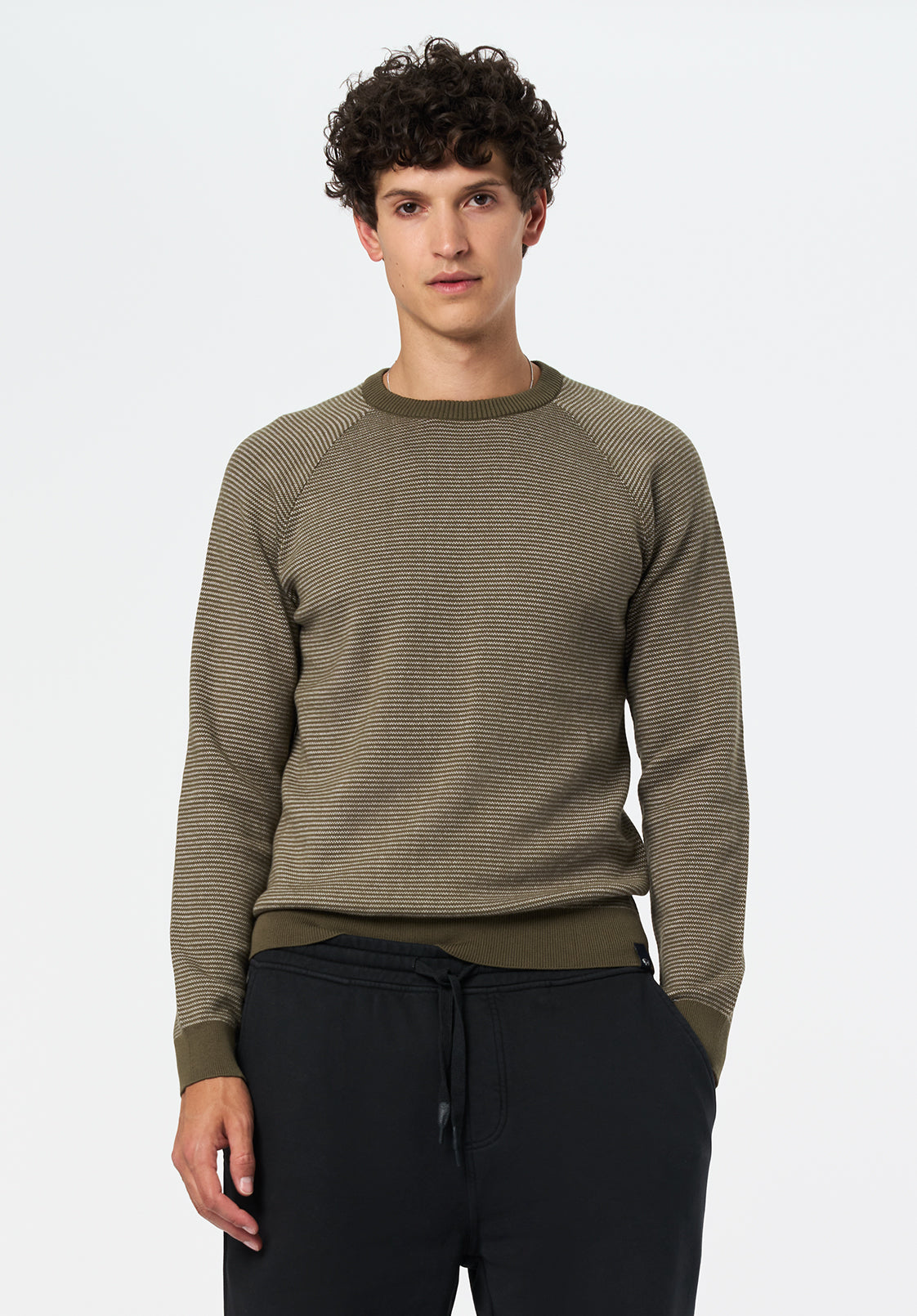Watford Men's Crew Neck Sweater, FERN – Buffalo Jeans CA